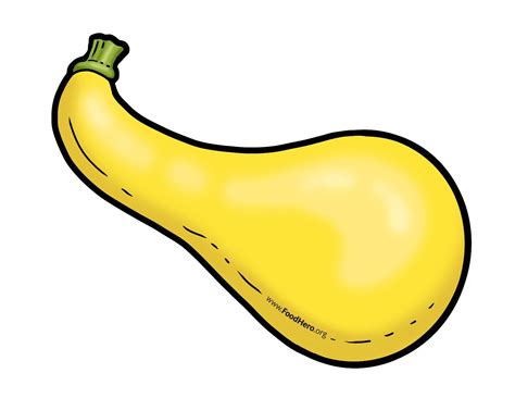 Summer Squash Illustration From Foodhero Org In Summer Squash