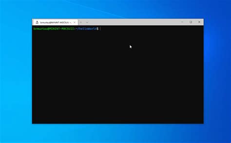 WSL Visual Studio Marketplace
