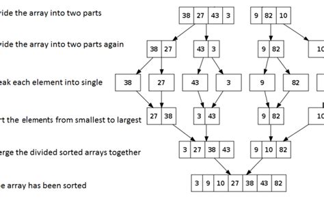 10 best sorting algorithms explained with simple examples otosection
