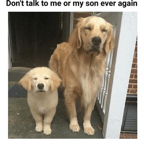 Don T Talk To Me Or My Son Ever Again Memes That Turn A Random