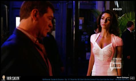 Necar Zadegan Nude Pics Pagina 1