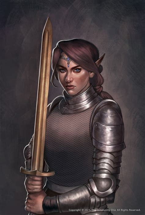 Fantasy Chainmail Armor