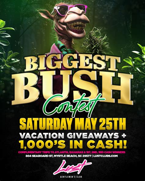 Biggest Bush Contest Lust Lust