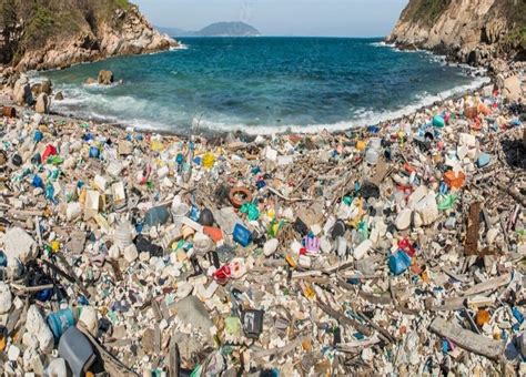 Alerte Pollution O Vont Nos Millions De Tonnes De Plastique
