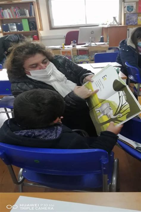 Liceo Elvira S Nchez De Garc S