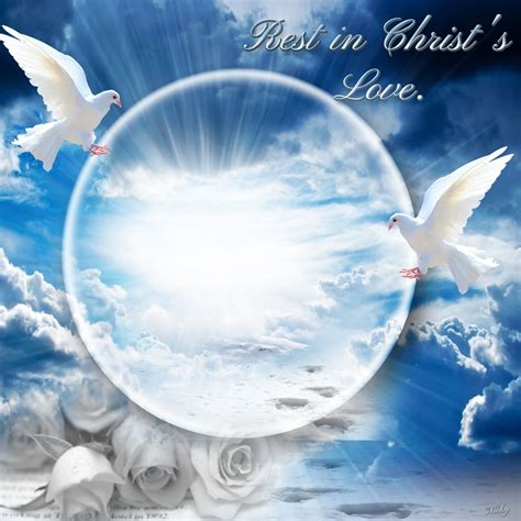 Pin On Rip Backgrounds