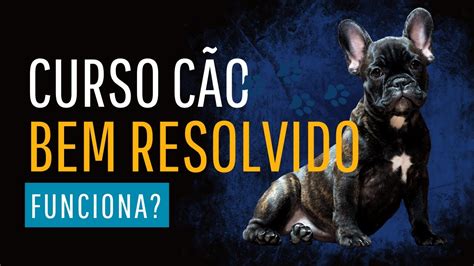 Curso Cão Bem Resolvido Funciona Aprenda a Adestrar em 14 Dias Vamos