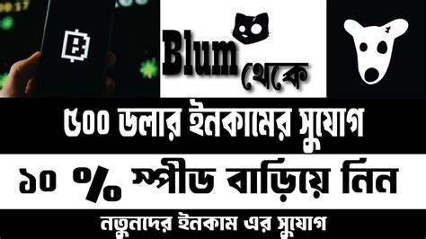 Blum Token Update Blum