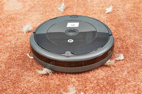 Best Robot Vacuum For Carpet And Hardwood Floors Floor Roma