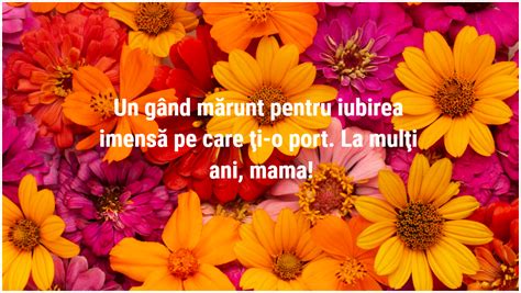 Mesaje De La Mul I Ani Pentru Martie De Ziua Femeii Kanal D