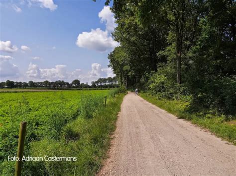 MTB Route Weert Deel Van Zuidlus VVV Hart Van Limburg