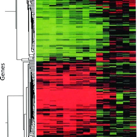 workflow for analysis of microarray data individual microarray chip download scientific