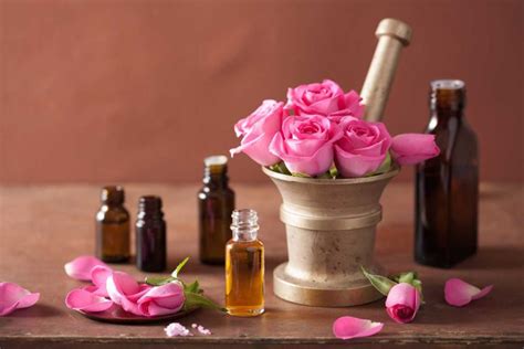 15 Best Anti Aging Oil For Face Skin Tightening In 2024 Trabeauli