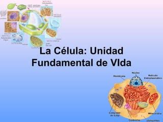 La célula unidad de vida fundamental PPT Descarga Gratuita