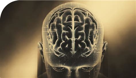 Test De QI Comprendre Et Mesurer Votre Quotient Intellectuel