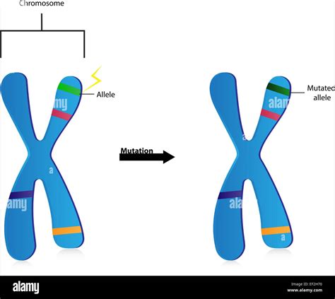 Gene Mutation Stock Photo Alamy