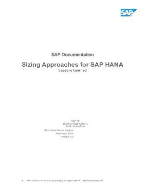 Fillable Online SAP Documentation Fax Email Print PdfFiller