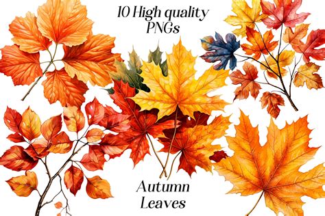Watercolor Autumn Leaves Clipart Gráfico por Designs By Anna B