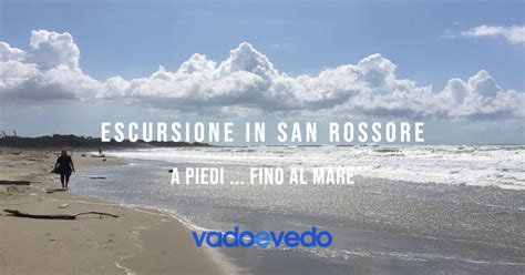 Escursione Nella Tenuta Di San Rossore Fino Al Mare Escursionismo It