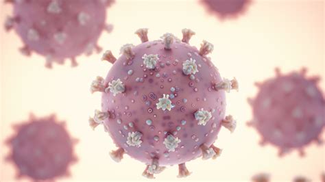 Vivalytic PCR Rapid Test For The Detection Of C Diff Noro And