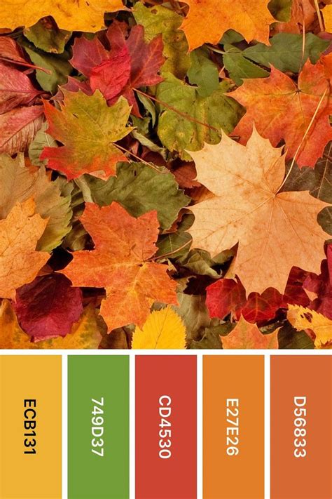 22 Perfect Fall Color Palettes For 2024 Play Party Plan In 2024