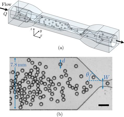 [pdf] influence of the solid fraction on the clogging by bridging of suspensions in constricted