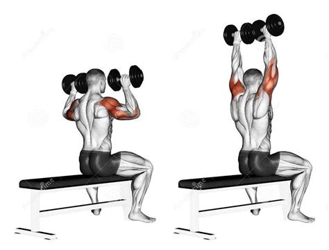 Pin By Carlos Profire On Bodybuilding Shoulder Workout Best Shoulder