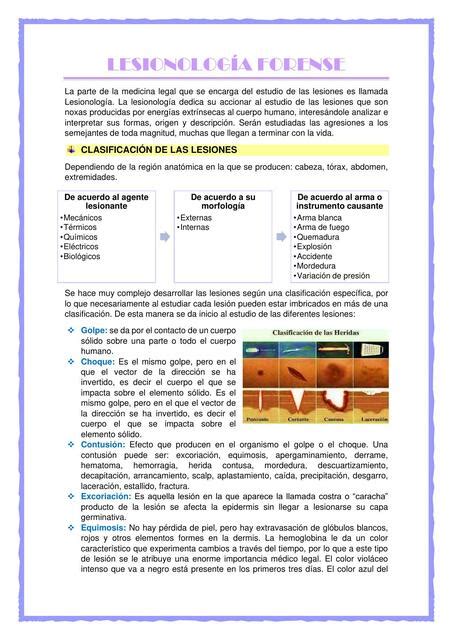 Lesionología forense Lilibeth Zambrano uDocz