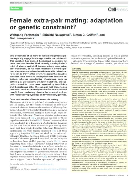 pdf female extra pair mating adaptation or genetic constraint simon c griffith wolfgang