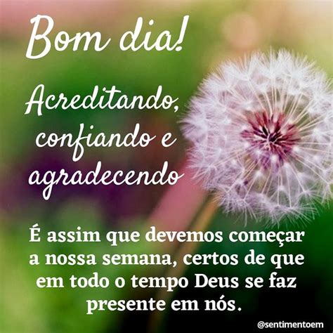 30 Mensagens Alegres De Bom Dia Para Acordar Feliz