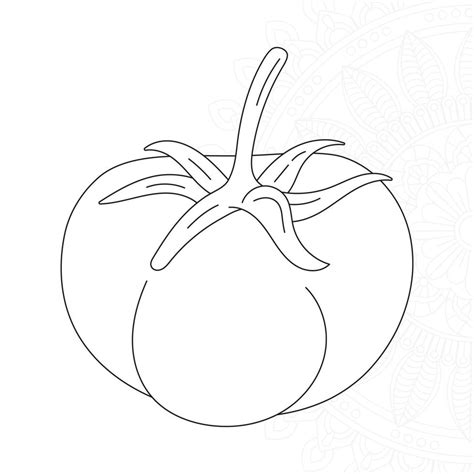 Dibujos De Tomates Para Colorear Para Ni Os Vector En Vecteezy