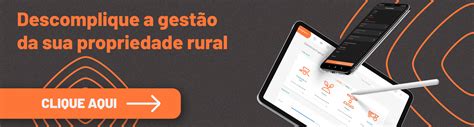 Fases do feijão o que fazer em cada etapa de cultivo