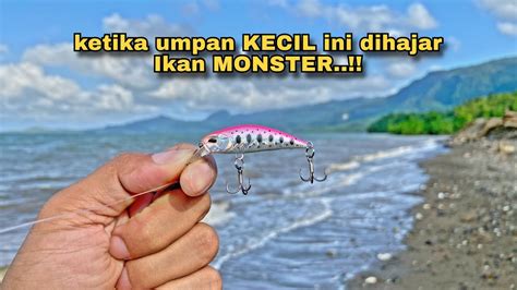 Umpan Kecil VS Ikan Besar Ultralight Casting Mancing Pinggiran