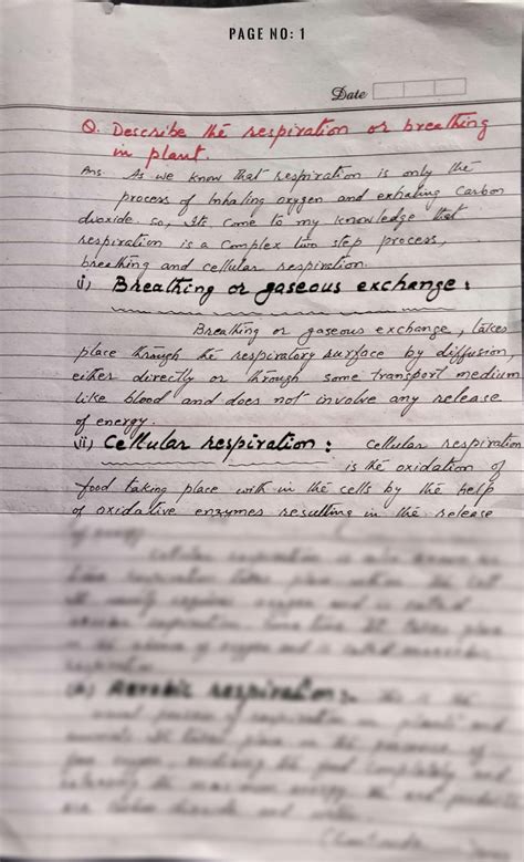 Solution Aerobic And Anaerobic Respiration In Plant Studypool