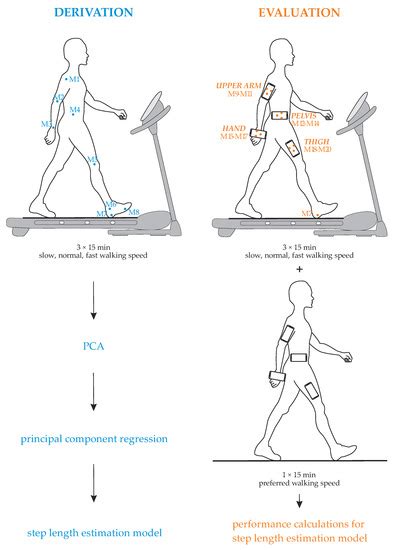 sensors free full text inertial sensor based step length estimation model by means of