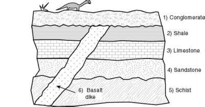 Relative Dating Principles Telegraph