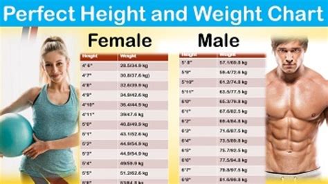 Height And Weight Chart In Kg Weight Charts What Is Your Ideal Weight