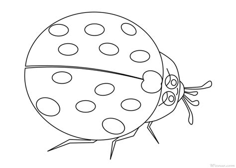 Coloriage Coccinelle Et Dessin Imprimer Et Colorier