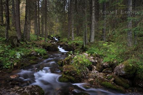 Tatrzański Park Narodowy Dolina Małej Łąki 1310 01231C