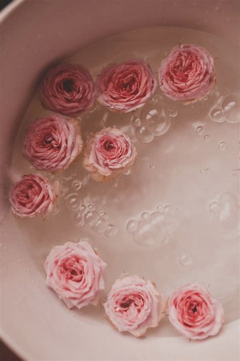 Pink Flower Aesthetic Wallpaper For Your Phone Green Thumb Diaries
