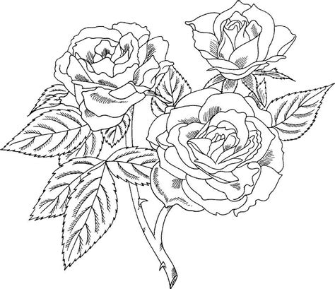 Árbol de Rosas con Hojas para colorear imprimir e dibujar