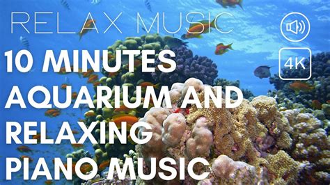 10 Minute Aquarium 4K With Relaxing Piano Music YouTube