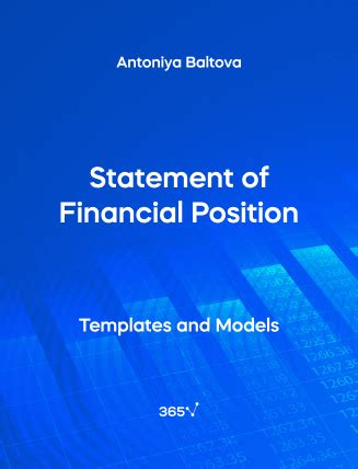 Statement Of Financial Position Excel Template 365 Financial Analyst