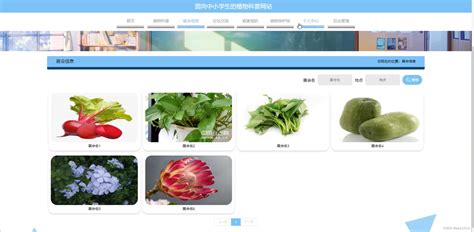 [附源码]java ssm计算机毕业设计面向中小学生的植物科普网站6s4f9 源码 程序 数据库 部署 植物网站源代码 csdn博客