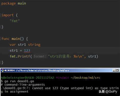 go语言编程从入门到精通，变量、指针、常量 golang 指针常量 csdn博客
