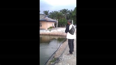 Melayan Kerapu Kolam RM3 Jugra YouTube