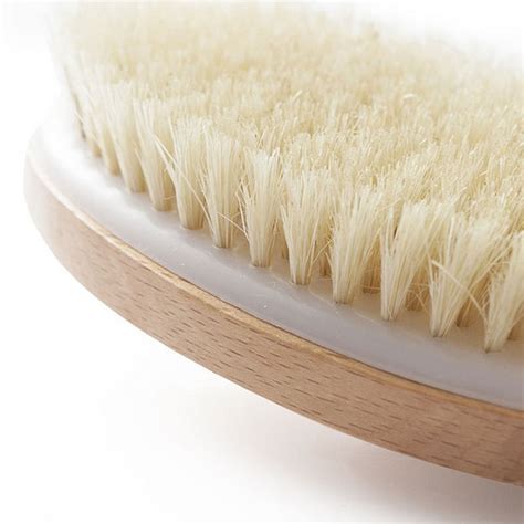 Brosse de bain exfoliante à poils ovales à manche Long Massage