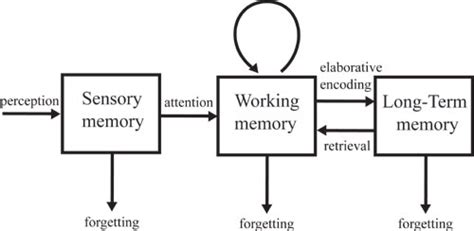 A Conceptual Model Of How Memory Works