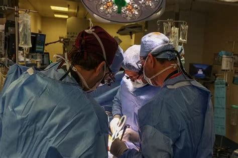 Primeiro Paciente Do Mundo A Receber Rim De Porco Em Transplante Deixa