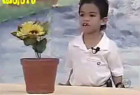 Topo 92 imagem menino raça negra silvio santos br thptnganamst edu vn